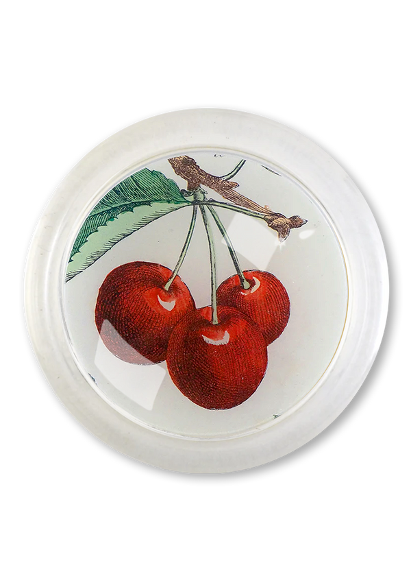 Cherry 4" Round Glass Coaster - Bensgarden.com